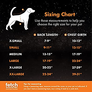 Star Wars: Yoda Halloween 2022 Pet Costume -Small - |Star Wars Halloween Costumes for Dogs, Funny Dog Costumes | Officially Licensed Star Wars Dog Halloween Costume, Multicolor (FF14733-22)