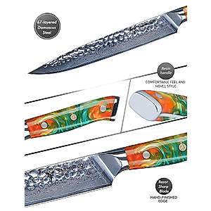 SANMUZUO 9 Inch Carving Knife, Slicing Knife - Hammered Damascus Steel & Resin Handle - Yao Series