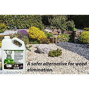 Natural Elements Weed Killer | Pet Safe, Safe Around Children | Natural Herbicide (1 Gallon)