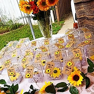 XP-ART 30 PCS Clear Favor Boxes,4 x 4 x 4 inch Plastic Clear Gift Boxes for Wedding,Birthday,Easter Mother's Father's Day Party