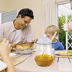 HAIJSEVR Beehive Honey Jar, Glass Honey Pot with Dipper and Lid Cover, Large Container for Bee Pie Jam Jelly Home Kitchen, Clear 10.5 Ounce(300ml)