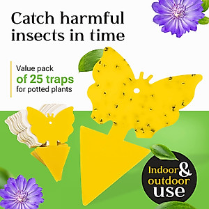 Premium Fruit Fly Traps | Double Sided Gnat Traps | Waterproof Yellow Sticky Traps are Great Outdoors | Also for Fungus Gnats, Aphids, Flies, Moths and Spiders | Pack of 25