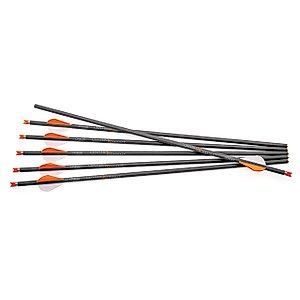 CenterPoint Archery CP400 Select 400-Grain 20-Inch Carbon Arrows AXCCA20TPK, Pack of 6