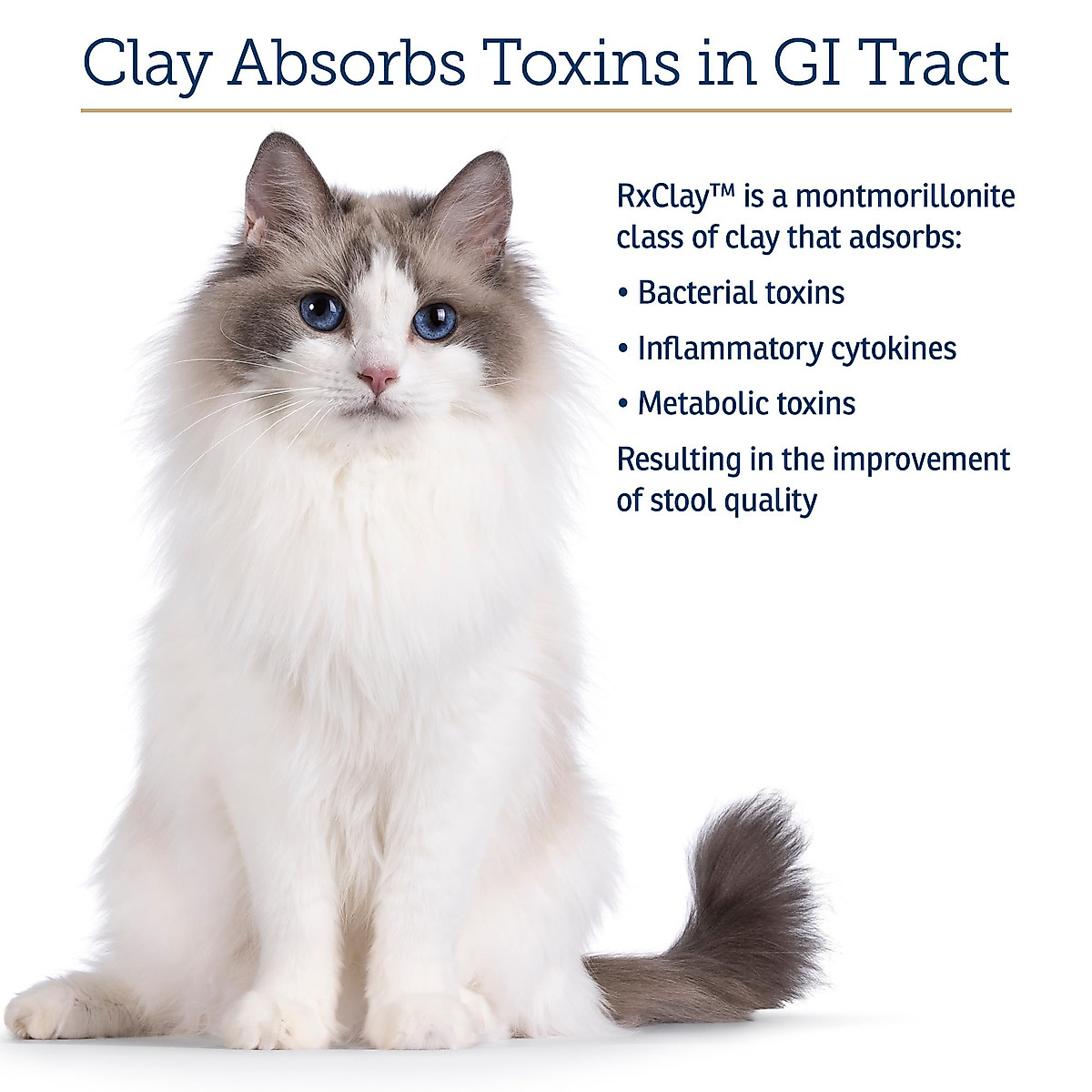 Rx Vitamins Rx Edible Clay Powder - Anti Diarrhea for Dogs & Cats and Promotes Gas Relief for Dogs - Aids in Cat Digestive Support and Dog Constipation Relief - 3.52 oz