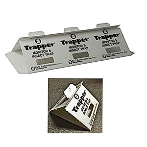 ALAZCO Trapper Insect Trap (Great for Bed Bugs, Spiders, Cockroaches) - 10 Large Boards or can be Used as 30 Smaller Traps/Monitors