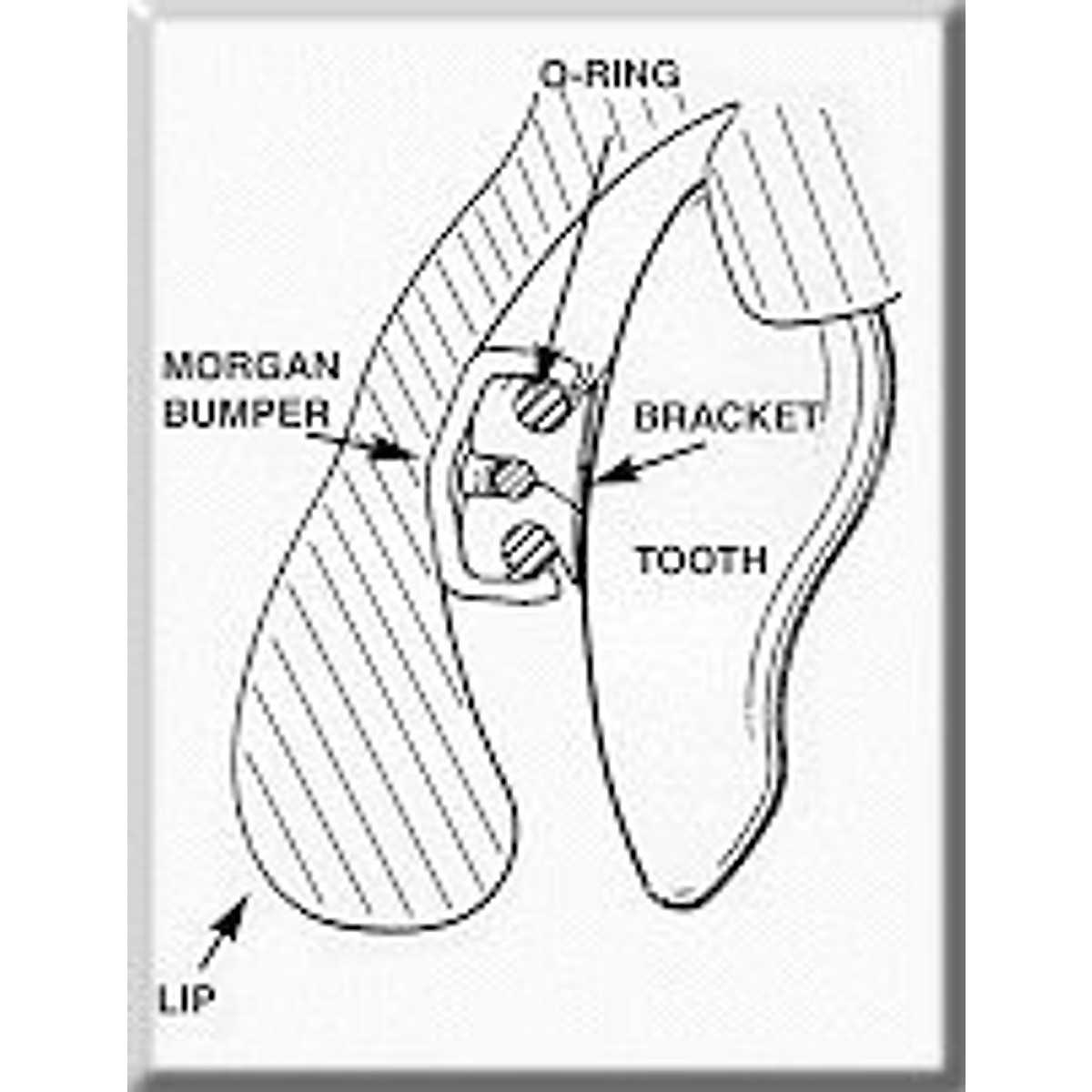 Morgan Bumper Braces Cover Lip Protector Qty 2 - Clear