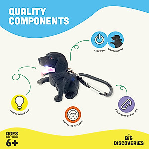 Big Discoveries WildLight Animal Carabiner Flashlight - Fun Mini Keychain Flash Lights for Kids, Nurses, Camping