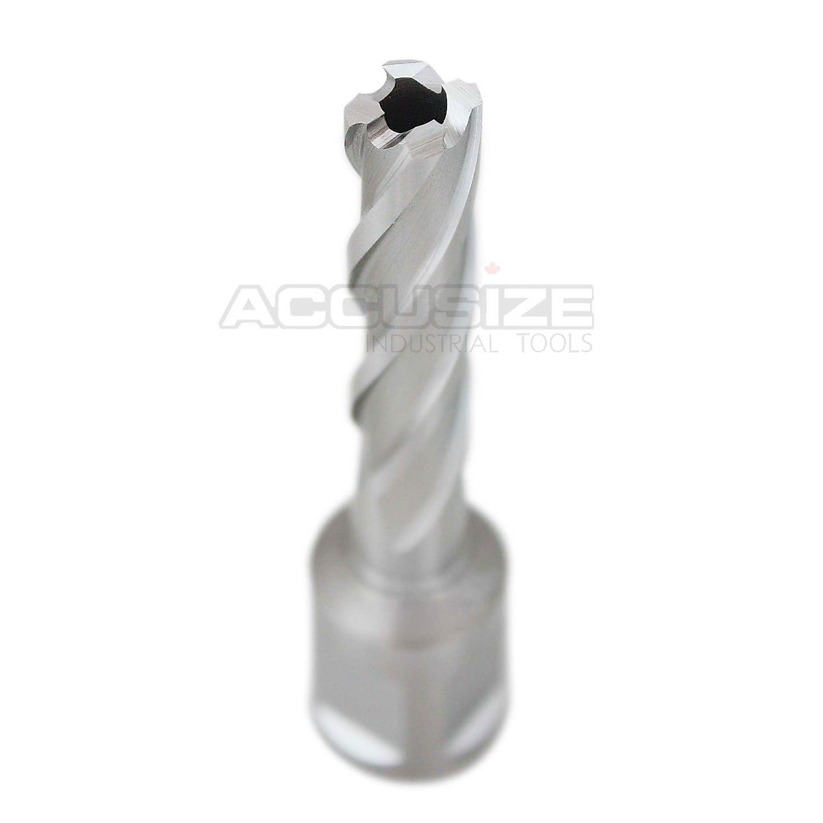 Accusize Industrial Tools 7/16'' Cutting Dia, 3/4'' Weldon Shank, 2'' Cutting Depth H.S.S. Annular Cutters, 2081-2012