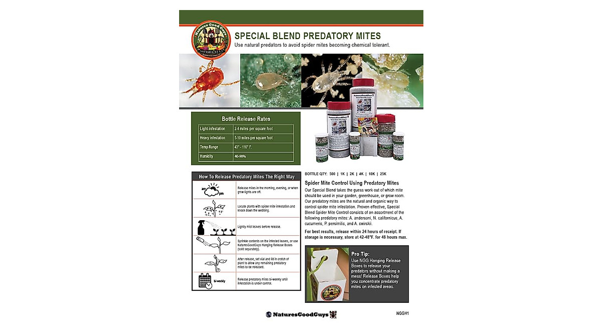 25,000 Predatory Mite Blend for Pest Control | Nature's Good Guys