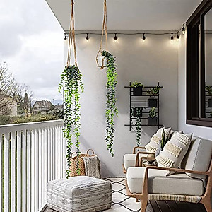 Oxsaytee 2 Pack Fake Hanging Plants with 2 Pcs Plant Hangers Fake Potted Plants for Wall House Home Office Room Patio Indoor Outdoor Aesthetic Decor