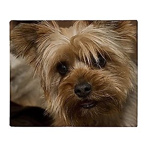 CafePress Yorkie Puppy Throw Blanket Super Soft Fleece Plush Throw Blanket, 60"x50"