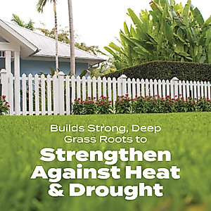 Scotts Turf Builder Bonus S Southern Weed & FeedF2, Weed Killer and Lawn Fertilizer, 10,000 sq. ft., 34.48 lbs.