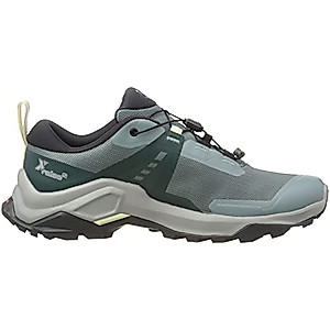 Salomon Women's X Raise 2 W Trail Running Shoe, Trooper/Ponderosa Pine/Frozen Dew, 8.5