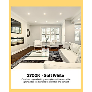 Sunco 4 Pack BR40 Light Bulbs, LED Indoor Flood Light, Dimmable, CRI94 2700K Soft White, 100W Equivalent 17W, 1400 Lumens, E26 Base, Indoor Residential Home Recessed Can Lights, High Lumens - UL