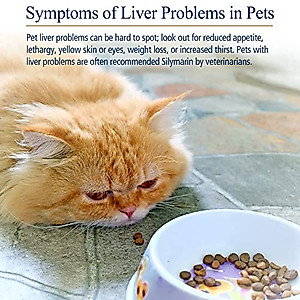 Rx Vitamins Hepato Support for Dogs & Cats - Milk Thistle Supplement for Pets - 100mg Milk Thistle for Healthy Liver Function - Silymarin Capsules for Pets - 180 ct.