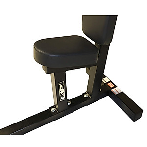 CAP Barbell Commercial Grade Weight Bench Flat/Incline/Decline Utility Exercise Olympic Workout Bench for Full Body Workout (Multi-Purpose Bench, Black)