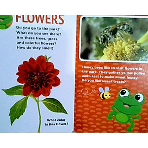 Dreamtivity Baby Einstein Video Fun Board Books, 4-Book Set