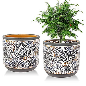 Vivimee 2 Pack Ceramic Plant Pots, 5 Inch Flower Pot Set, Planter Set with Drainage Hole for Indoor Plants, Cactus, Succulent, Snake Plants, Bamboo, Clay Pottery Garden Pots for Outdoor Plants(Gray)