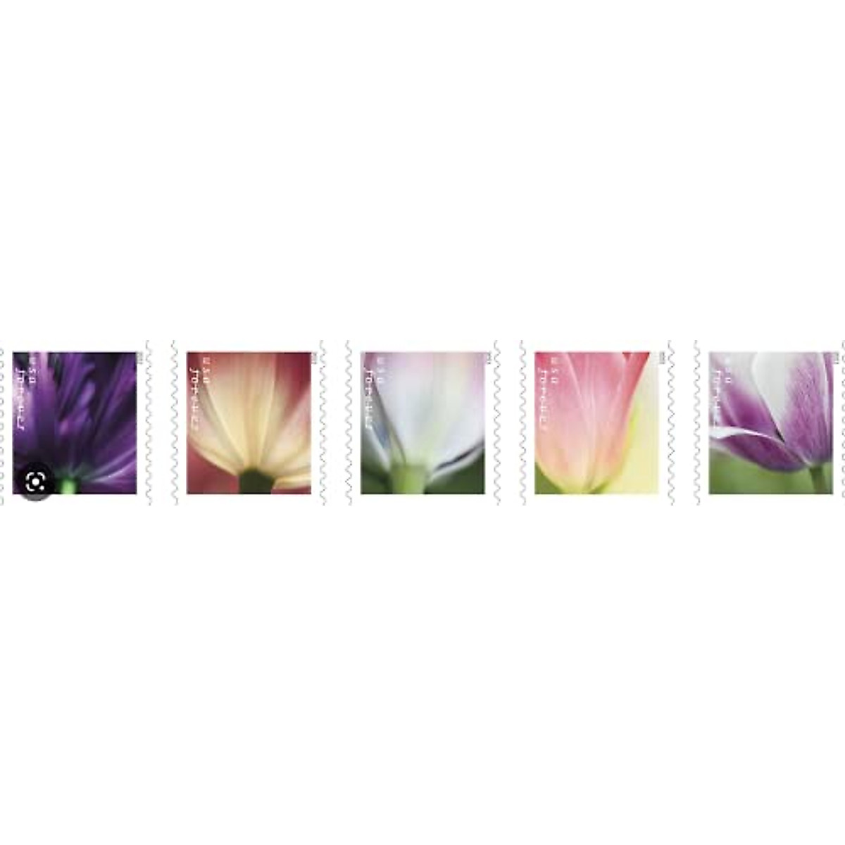 USPS 2023 Tulip Blossom Forever First Class Postage Stamps (20 Count Booklet)