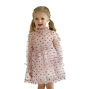 TTYAOVO Princess Girl Lace Dress Casual Flower Girls Baby Polka Dots #226_A Pink 6-7 Years