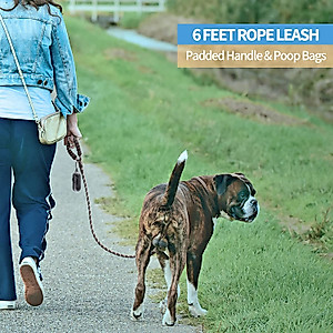 BAAPET 2/4/5/6 FT Dog Leash with Comfortable Padded Handle and Highly Reflective Threads for Small Medium and Large Dogs (6FT-1/2'', Black)