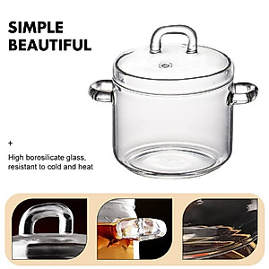 Glass Cooking Sauce Pan Glass Saucepan with Lid Stew Pot Steaming Cup Steam Soup Bowl Stovetop Cooking Noodle Pot for Egg Custard Birds Nest Tonic 700ml Glass Soup Pot