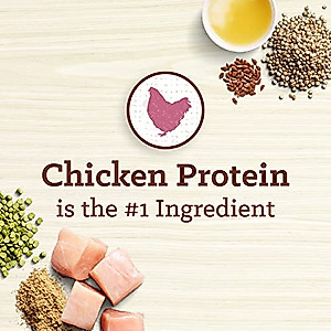 NUTRO MAX Adult Mini Chunk Recipe Dry Dog Food With Farm-Raised Chicken, 25 LB Bag