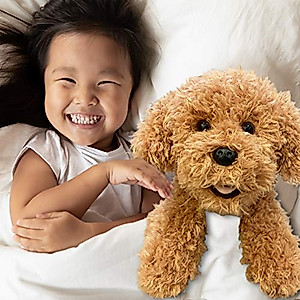 Super Soft Plush Dog Toy, Labrador Puppy, Cream Color, 13 Inches, Great for Kids and Adults, Cuddly Companion for Grandparents, Stuffed Animals & Stuffed Dolls (Goldendoodle)