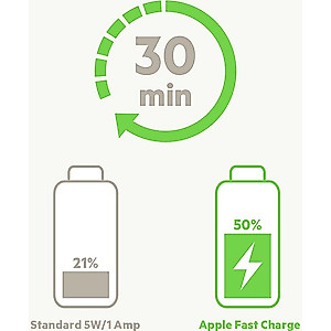 Belkin USB-C to Lightning Cable (4ft Fast Charging iPhone USB-C Cable for iPhone 11, 11 Pro, 11 Pro Max, XS, XS Max, XR, X, MacBook, iPad and more, Apple MFi-Certified), Black (F8J239bt04-BLK)