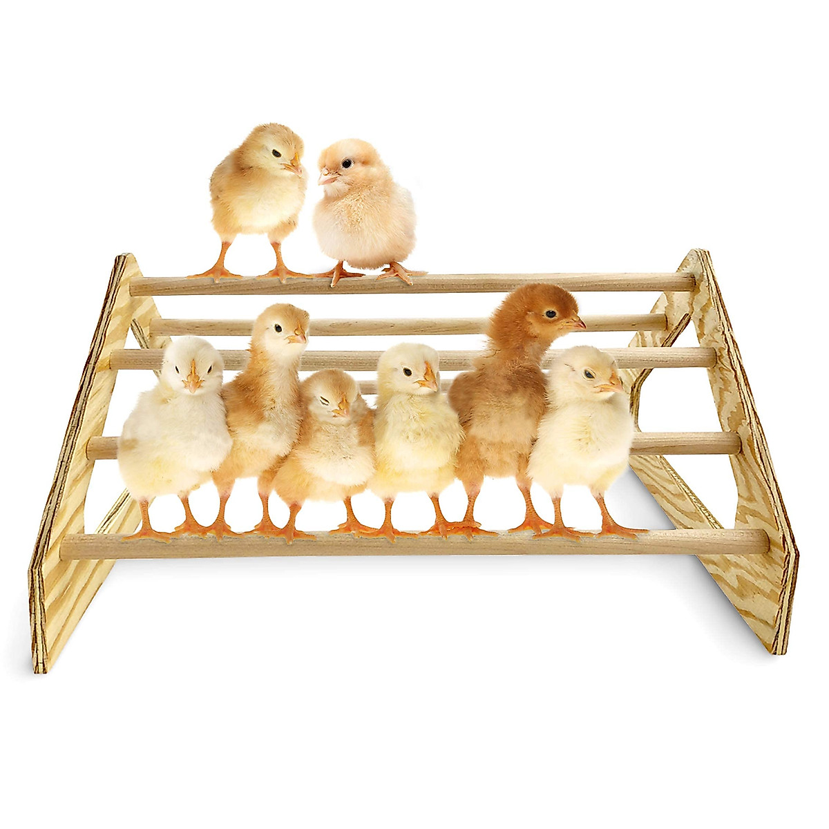 Backyard Barnyard Chick Perch Strong Wooden Jungle Gym Roosting Bar Made in USA!!! Chicken Toys for Coop and Brooder for Baby Chicks El Pollitos La Pollita Pollos Gallinas Polluelos