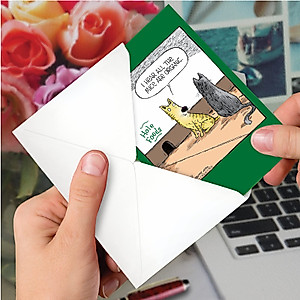 NobleWorks Pack of 3 Birthday Greeting Cards with Envelopes (1 Designs, 3 Each) Hole Foods C2684BDG-C3x1