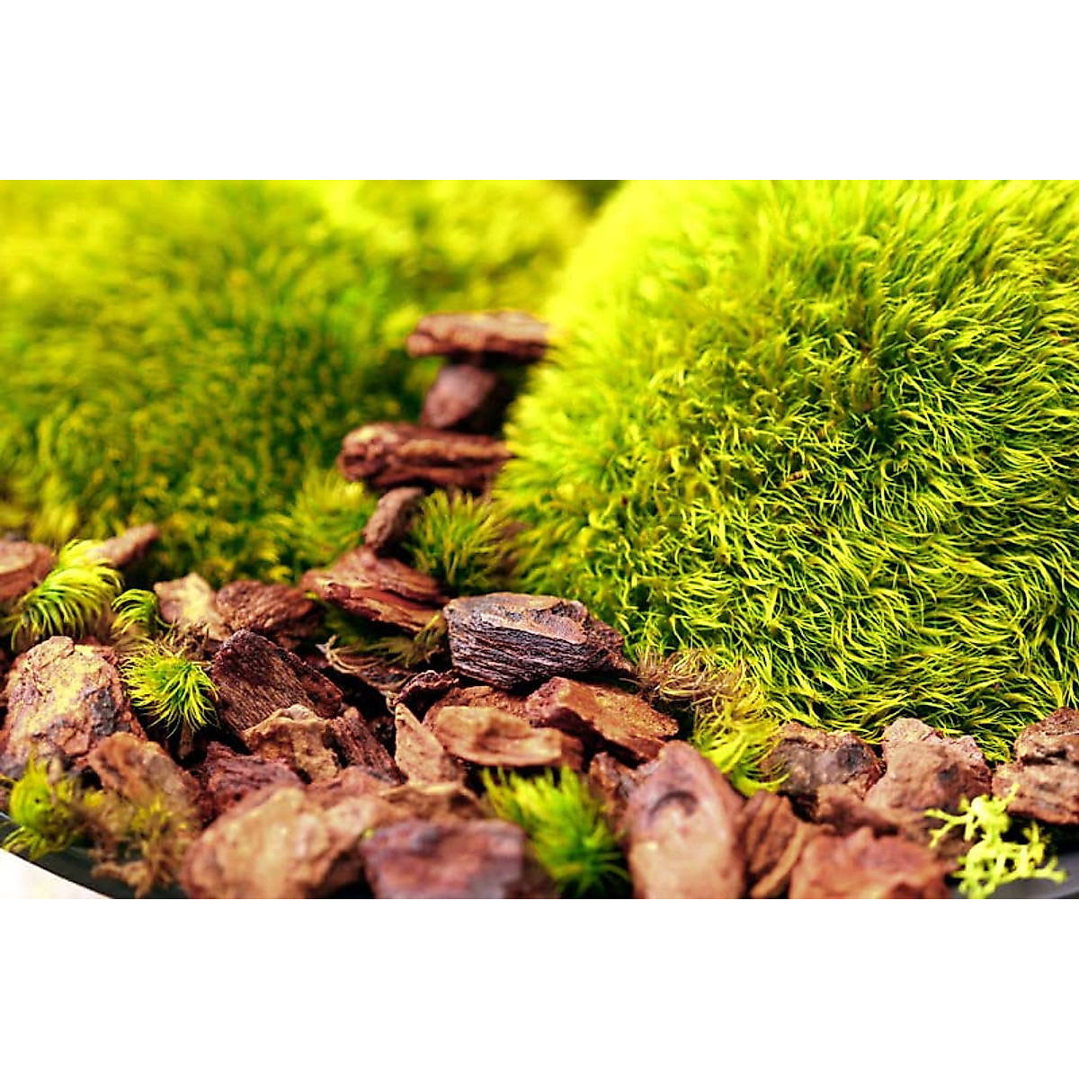 SuperMoss (23114) Orchid Potting Bark, Natural, 4 quarts