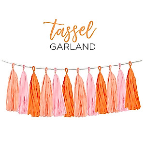 15PCS Pink Orange Peach DIY Tissue Tassel Garland Groovy Retro Party Tassel Banner Bunting Streamer for Girl Baby Shower Groovy Halloween Birthday Bridal Shower Nursery Classroom Wall Hanging Décor