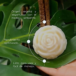 Shampoo natural de Romero | Rosemary Bar Shampoo and Conditioner Bar for Hair Growth | Shampoo Bar & Conditioner Bar for Strengthening Hair + 2 Travel Tins | Eco Friendly | No wasted | PANAVAYU