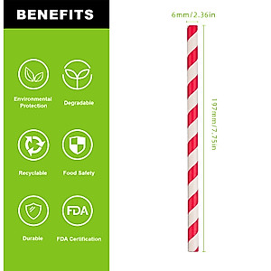 Go Green 250-Pack Red&White Paper Drinking Straws, 7.75 inch Disposable Striped Paper Straws, Natural Eco Friendly Biodegradable Drinking Straws, Party Decoration Supplies