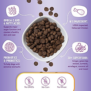 Health Extension Supplements Bundle - Dry Dog Food Chicken & Brown Rice Recipe (4 lbs), Joint & Hip Supplement Cheese Flavored Powder (8oz), Multivitamin (30 Tablets) - Complete Nutrition for Dogs