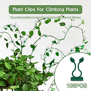 Revylink 100Pcs Plant Clips for Vines Wall Plant Clips for Climbing Plants Training Sticky Hooks Hanging Plants Climbing Wall Fixture Clips Plant Climber Vine Plant Support Green