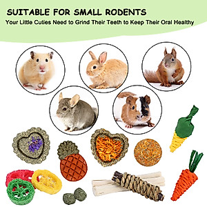 VESPRO Bunny Toys,21PCS Rabbit Toys for Bunnies Rabbit Chew Toys for Teeth Guinea Pig Toys Natural Chew Treats Toys,Timothy Hay Sticks for Chinchillas Hamsters Rats,Small Animals Teeth Grinding