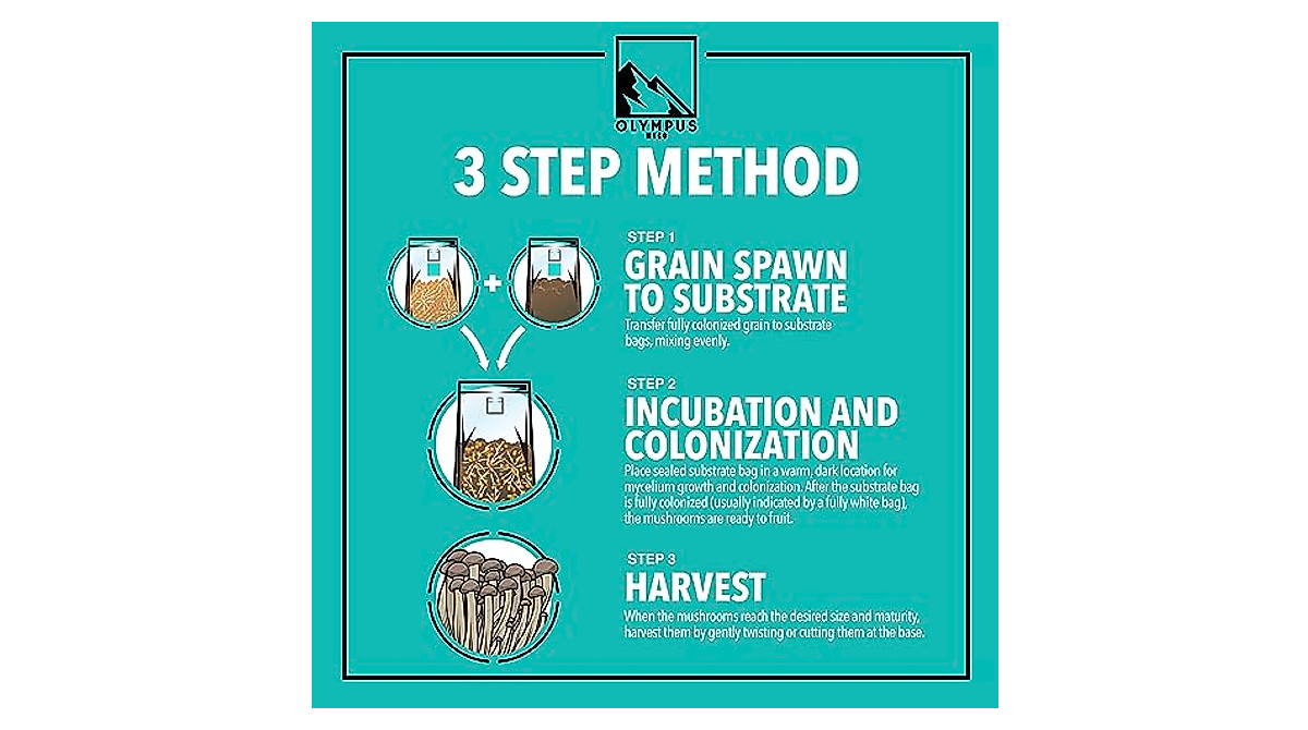 Olympus Myco: Sterilized Grain & Substrate Mushroom Kit