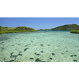 Ocean and Underwater DVD - Under And Above The Pacific Ocean - Fly Over Tropical Paradise - Row over Coral Reefs and Dive With The Turtles