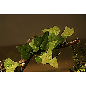 AQUA KT Reptile Corner Branch Terrarium Plant Decoration with Suction Cup for Amphibian Lizard Snake Climbing