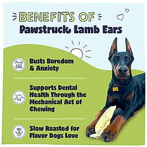 Pawstruck Natural Lamb Ears Chew Treats for Small & Medium Dogs - Healthy Low Fat, No Artificial Preservatives, Single Ingredient, Highly Digestible Animal Ear - 10 Count - Packaging May Vary