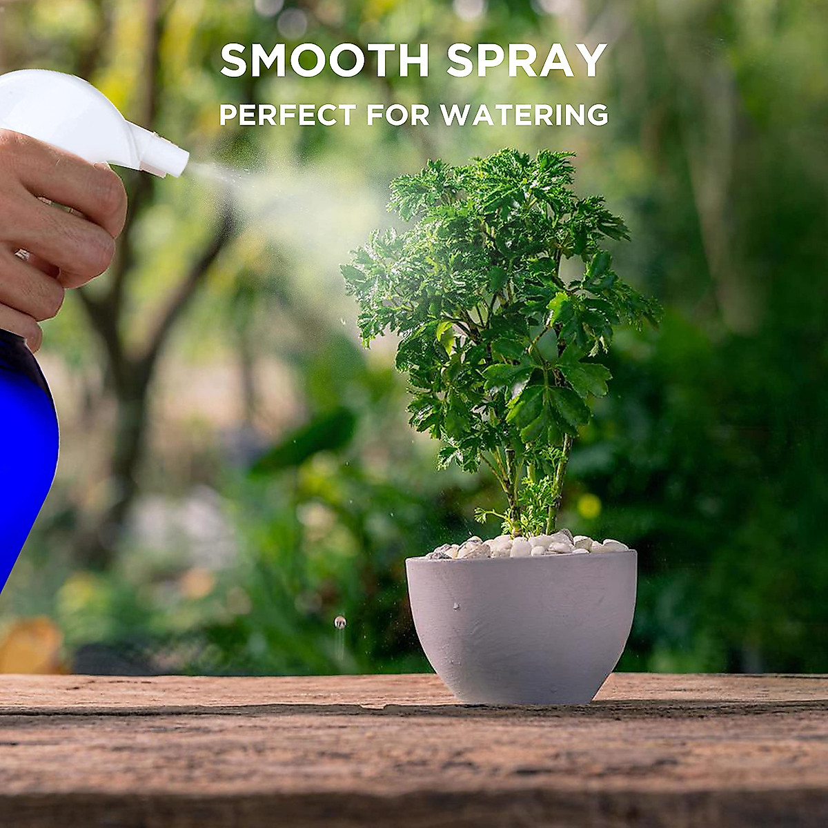 MoYo Natural Labs 8 oz Spray Bottles, Boston Round Trigger Sprayer Empty Travel Containers, BPA Free PET Plastic for Essential Oils and Liquids/Cosmetics (Pack of 12, Amber)