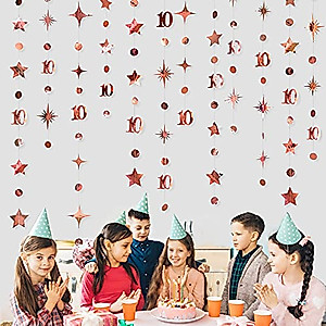 Rose Gold 10th Birthday Decorations Number 10 Circle Dot Twinkle Star Garland Metallic Hanging Streamer Bunting Banner Backdrop for Girls Boys Ten Year Old Birthday 10th Anniversary Party Supplies
