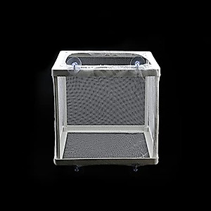 MY MIRONEY 6.3" x 5.63" x 6.22" Fish Incubator Mesh Box Aquarium Fish Breeder Box White Nylon Mesh Juvenile Fish Separation Net Fish Fry Hatchery with Suction Cups Pack of 2