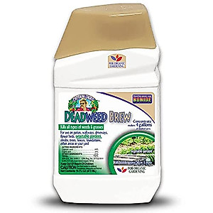 Bonide Captain Jack's Deadweed Brew, 16 oz Concentrate for All Types of Weeds and Grasses, For Organic Home Gardening