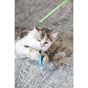 Our Pets Go Fish Cat Fishing Pole Toy with Catnip Fish Teaser and Rod Interactive Cat Wand Toys for Indoor Cats