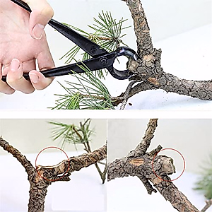 210mm Professional Round Edge Concave Knob Branch Cutter Garden Bonsai Tools Pruner Scissors Cutter