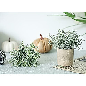 Der Rose 6pcs Mini Potted Fake Plants Small Artificial Plants for Home Farmhouse Bathroom Desk Office Decor