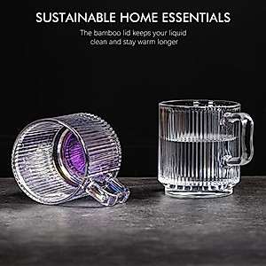 Leadiy Transparent Glass Coffee Mug with Lid, Clear Glass Coffee Cups, Classical Vertical Stripes Coffee Mugs for Latte Juice Tea 12.5 Ounces